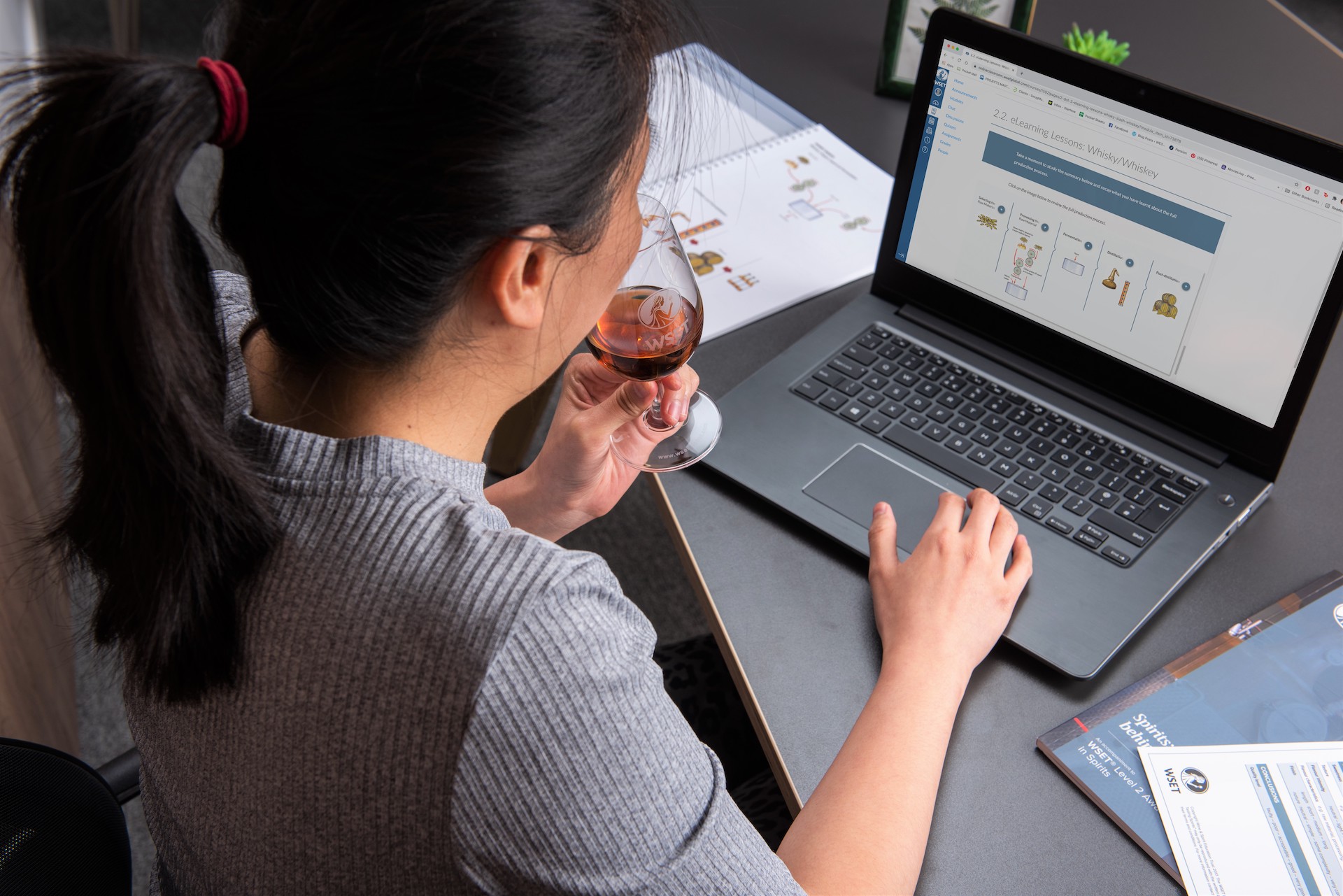 WSET Online Study Platform Features Explained