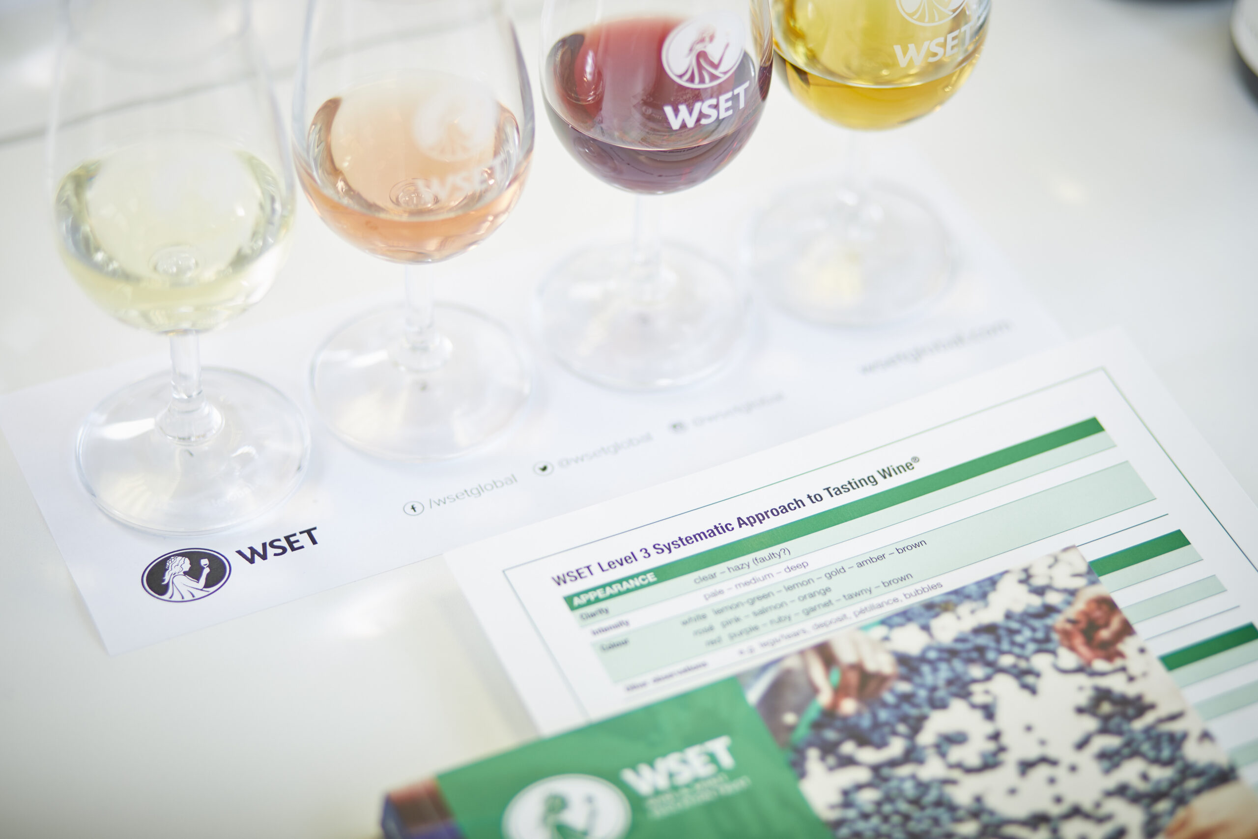WSET Level 3 Award in Wines - MWM Wine School